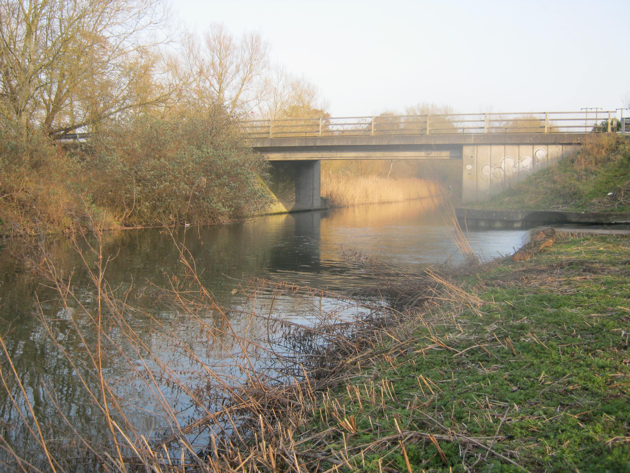 Hambridge - K&A Canal - Newbury Angling Association